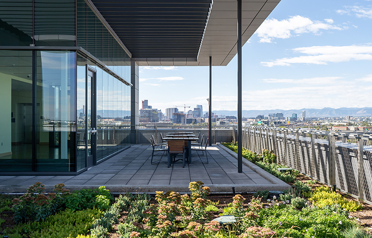 Anderson Mason Dale Architects | CSU Spur Campus