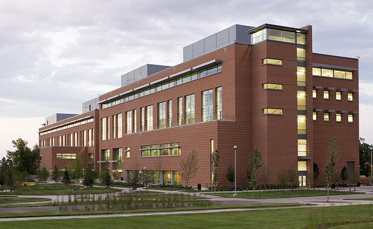 Education 2 and Academic East Buildings | Anderson Mason Dale Architects