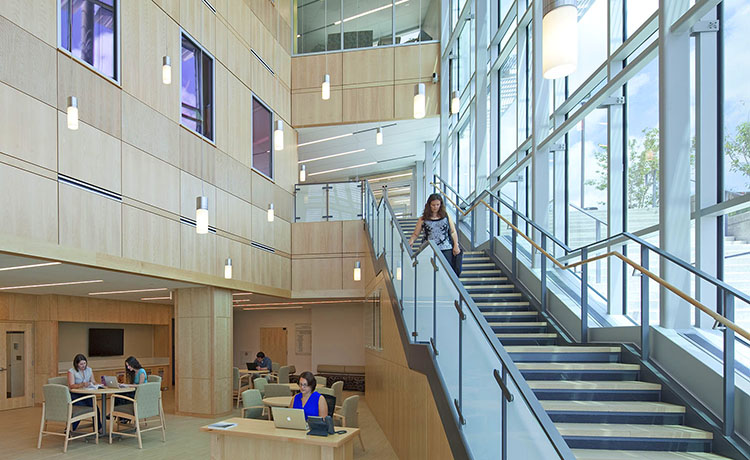 Lane Center for Academic Health Sciences | Anderson Mason Dale Architects