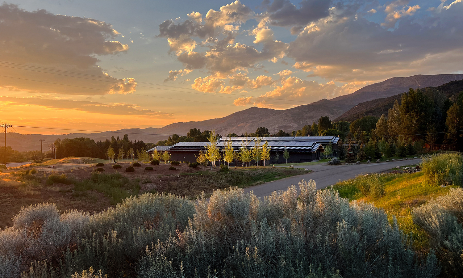 Aspen Distillers | Anderson Mason Dale Architects